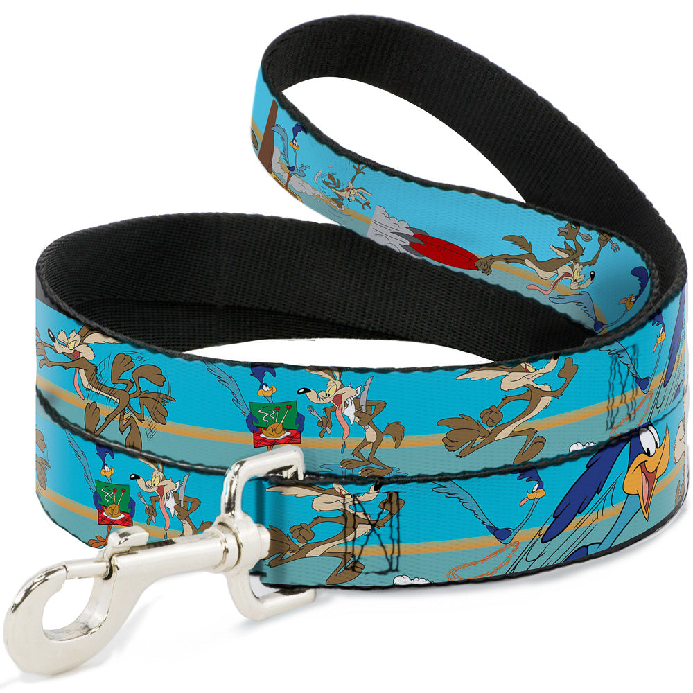 Dog Leash - Road Runner/Wile E. Coyote Scene2 Desert – HT Animal Supply